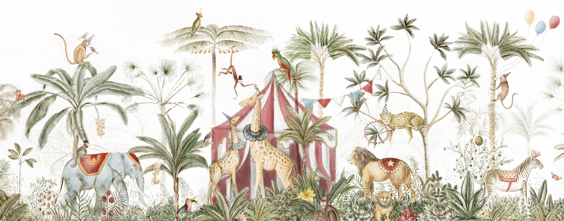 Circus Safari – My Store